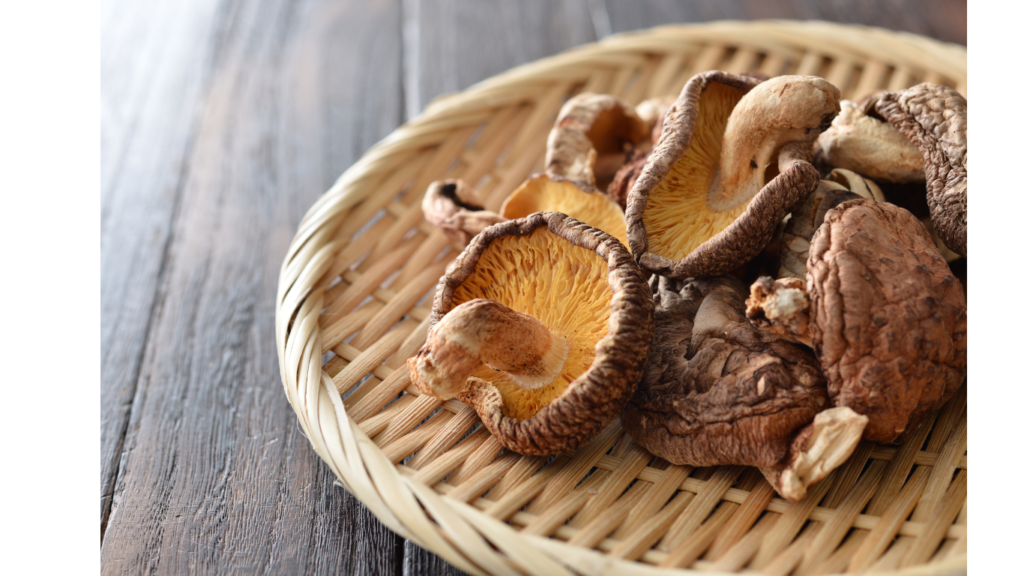 Hongo Medicinal: Shiitake (Lentinus edodes) – Fúngica – Expandiendo el Micelio